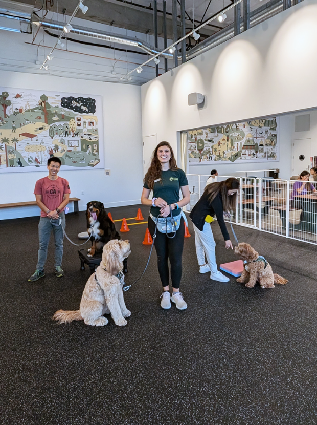 Premium Shopping in San Ramon | City Center Bishop Ranch